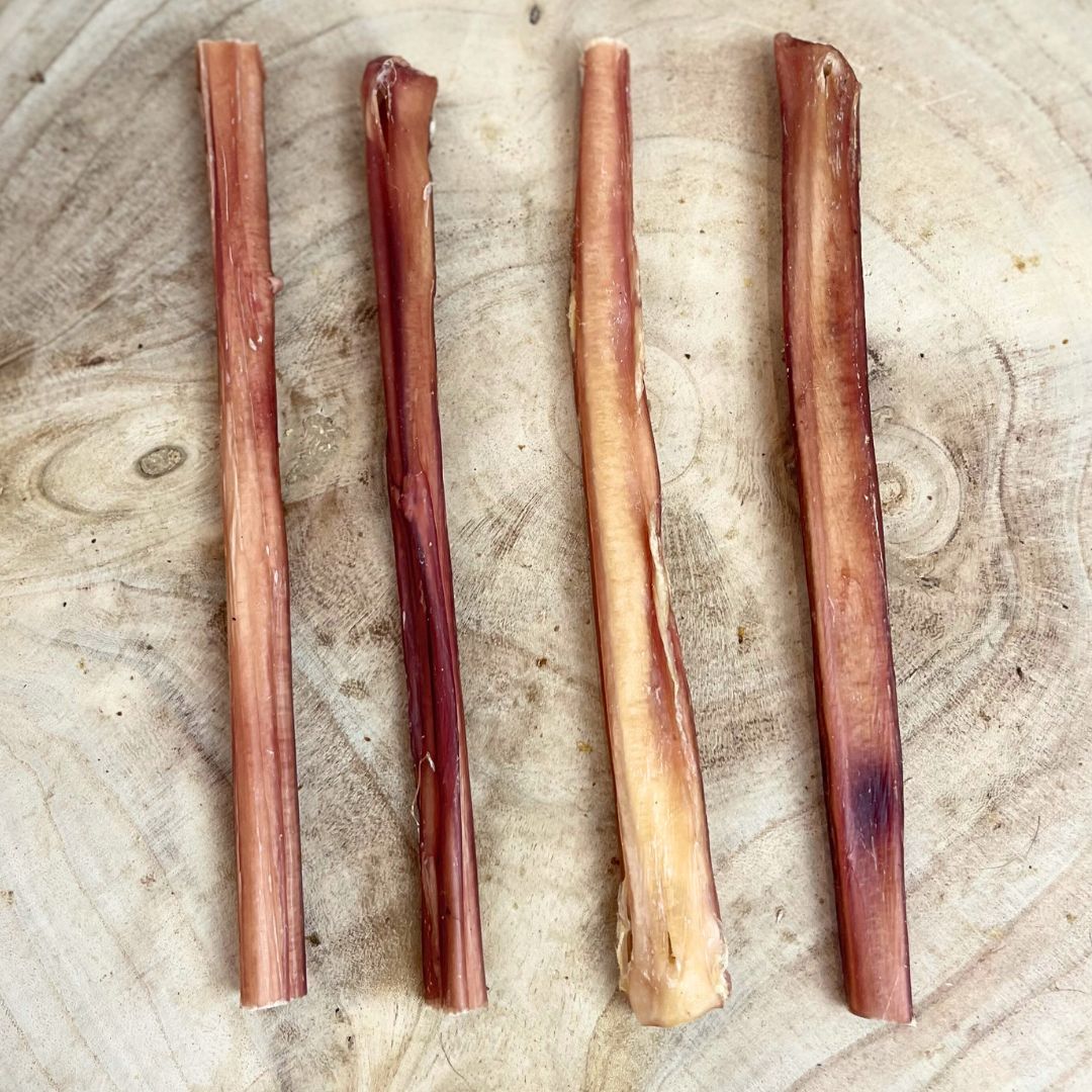 Bull Pizzles 24cm (25 pack) - Nova Dog Chews