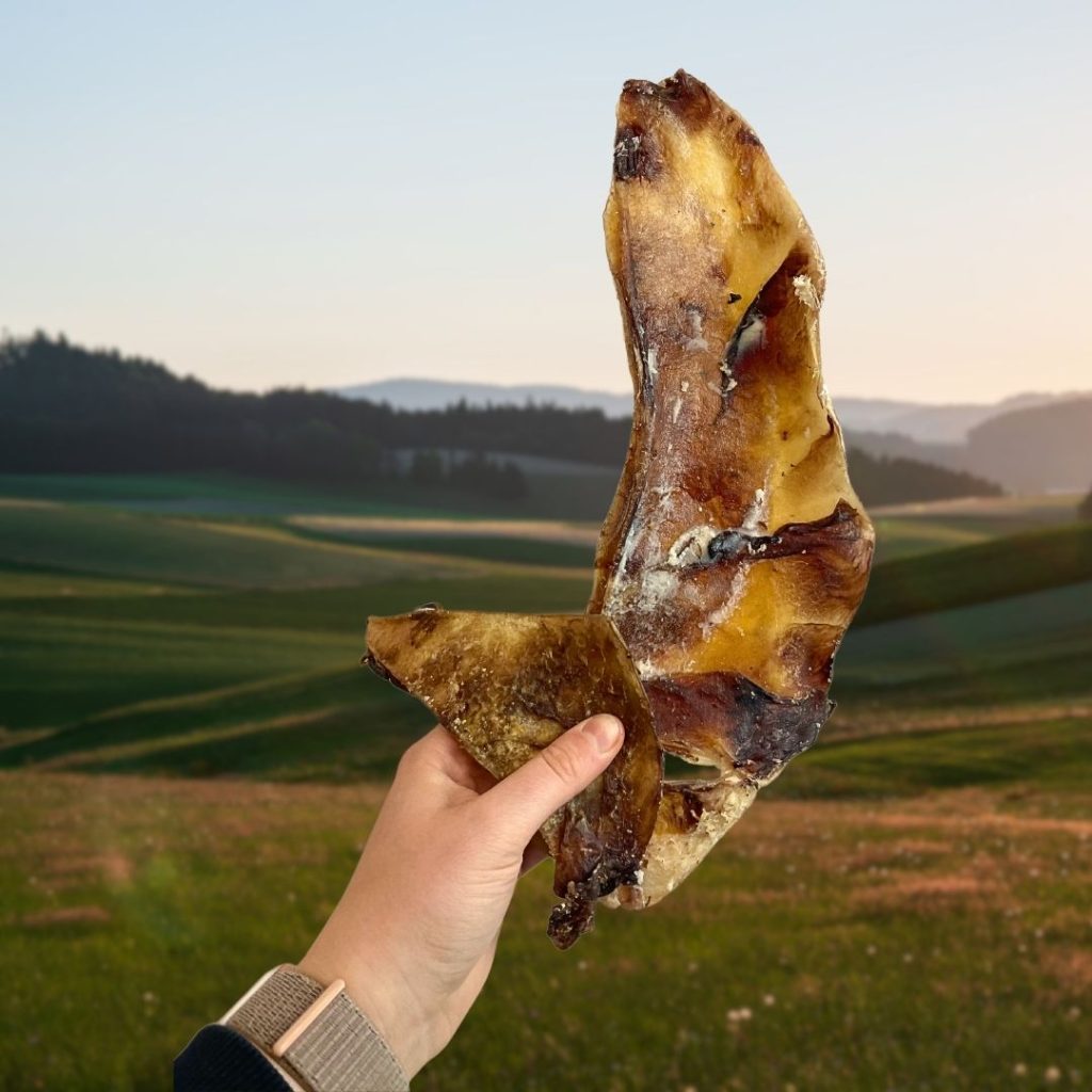 Beef Cartilage (Moon Bones) 1kg – Sizes vary – Nova Dog Chews