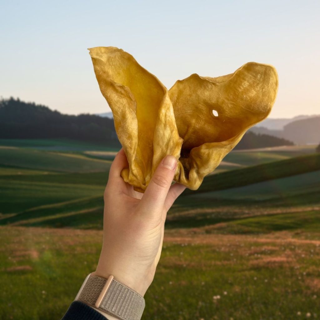 Meaty Cow Ears (25s) - Nova Dog Chews