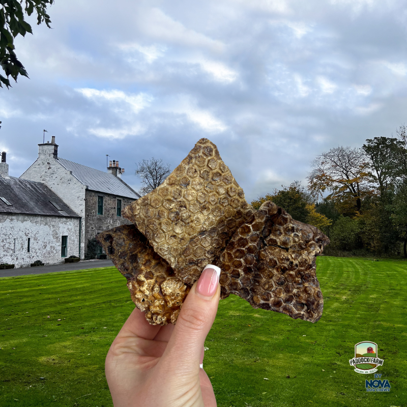 Puffed Lamb Jerky 500g – Nova Dog Chews