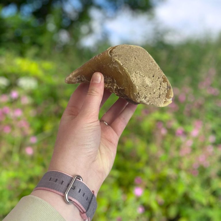 Filled Hooves (25s) – Nova Dog Chews