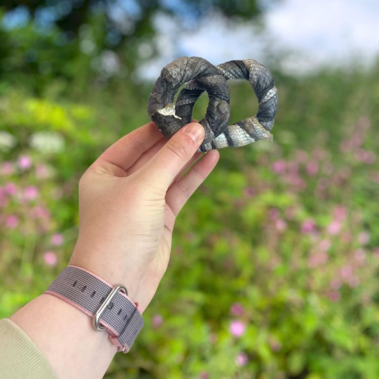 Fish Skin Donuts 1kg - Nova Dog Chews