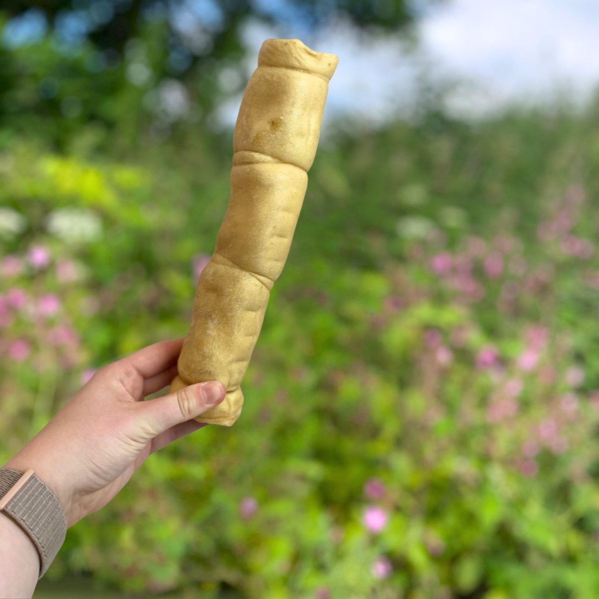 Jumbo Buffalo Roll 9"/10" - Nova Dog Chews