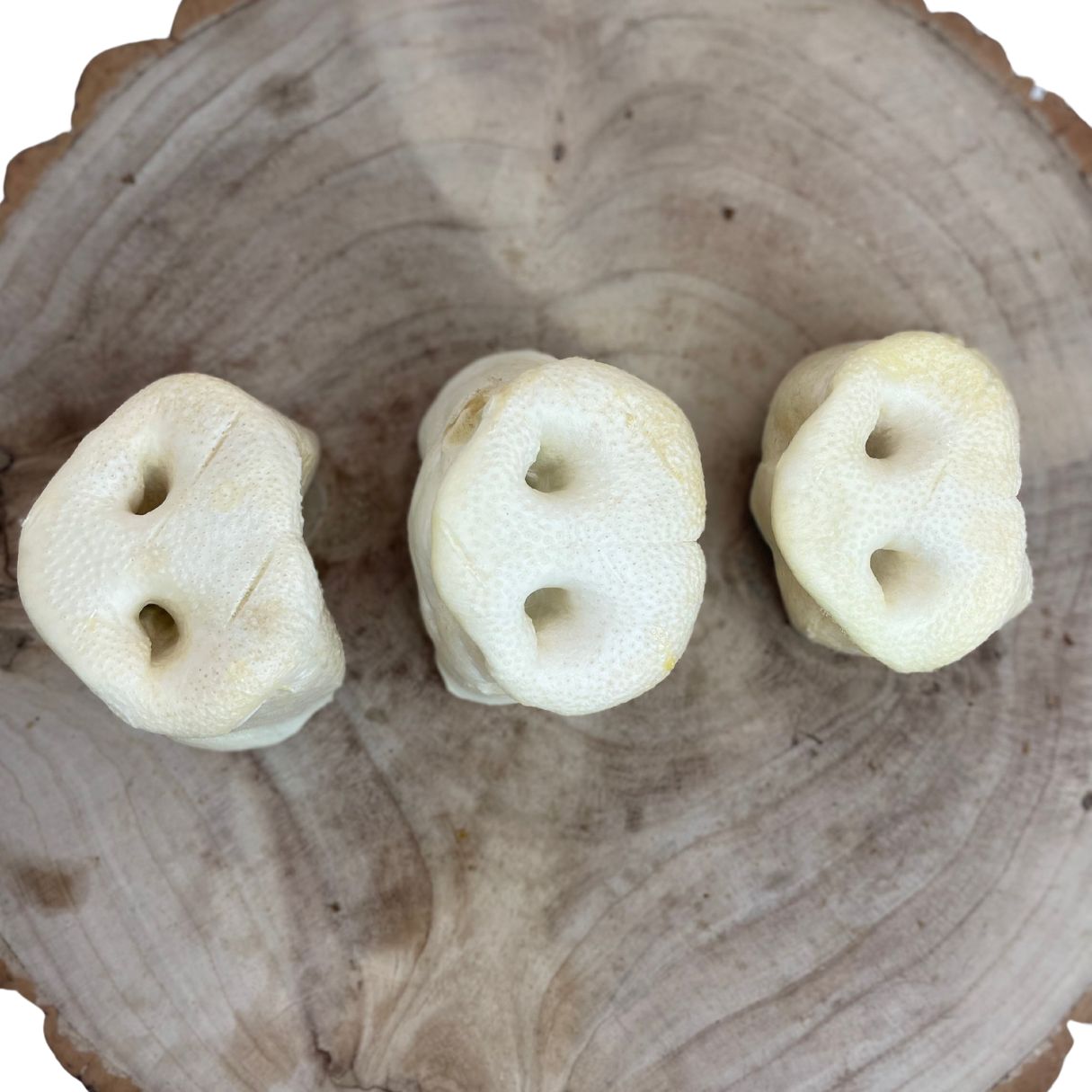 Puffed Pig Snouts (50 pack) (Max 5 Boxes Per Customer) - Nova Dog Chews