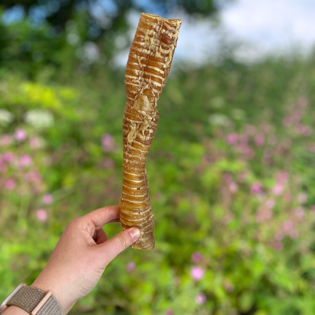 Buffalo Trachea Approx 30cm 1kg – Nova Dog Chews