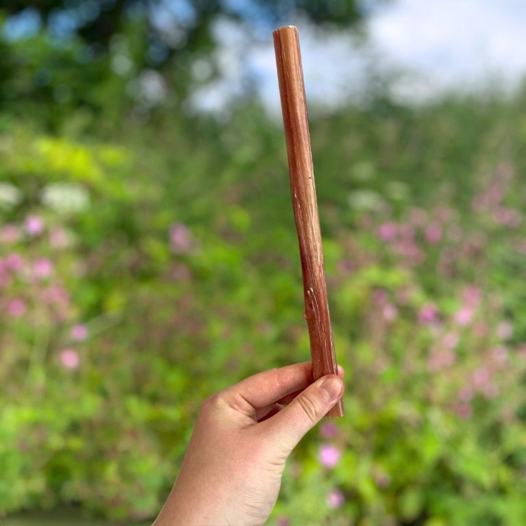 Bull Pizzles 24cm (25 pack) - Nova Dog Chews