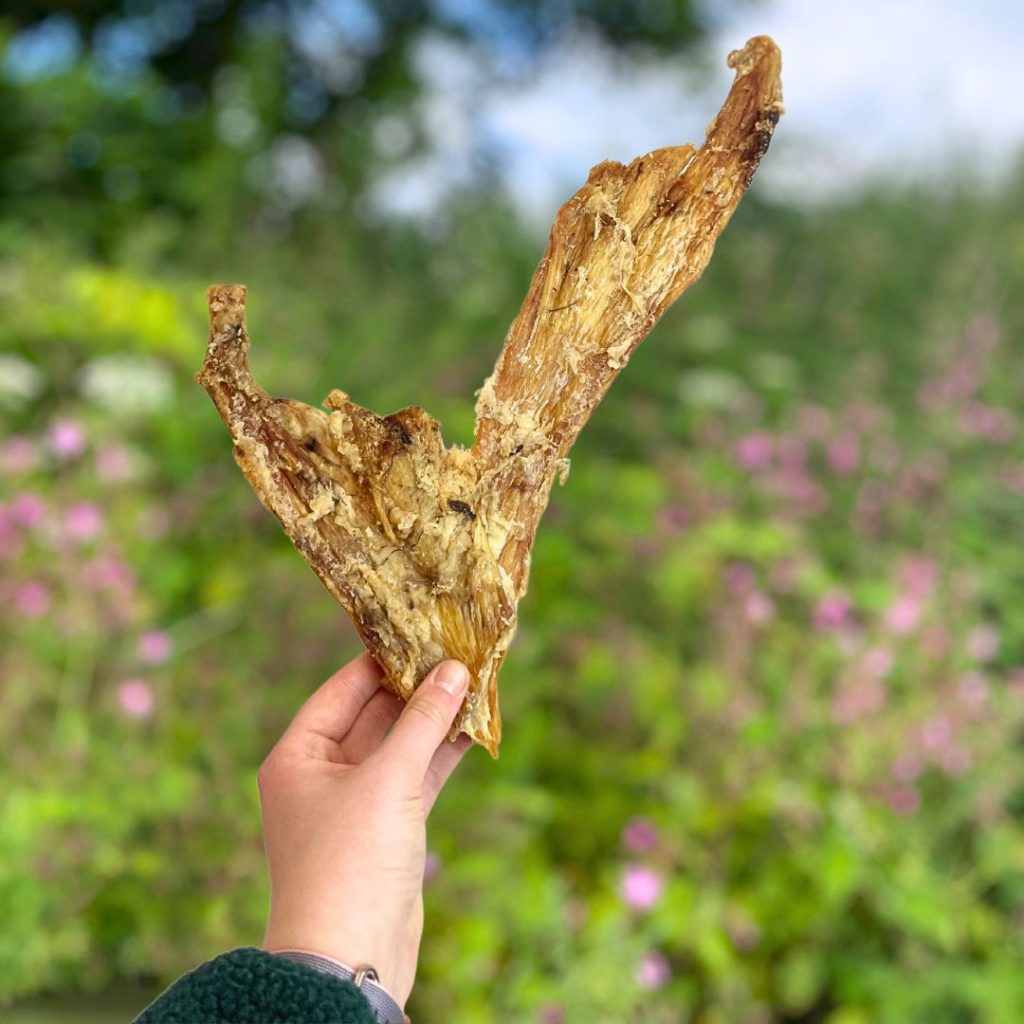 Premium Beef Paddywack (Tendon) 3kg - Nova Dog Chews