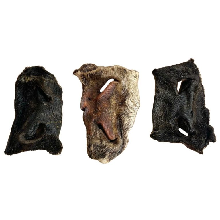 Hairy Beef Snouts 1kg – Nova Dog Chews