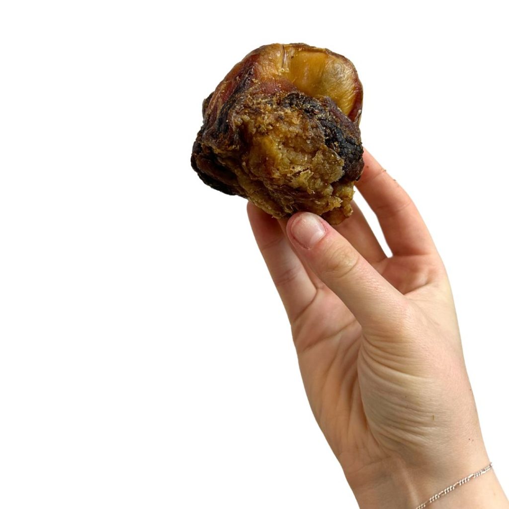 Beef Knee 2kg - Nova Dog Chews