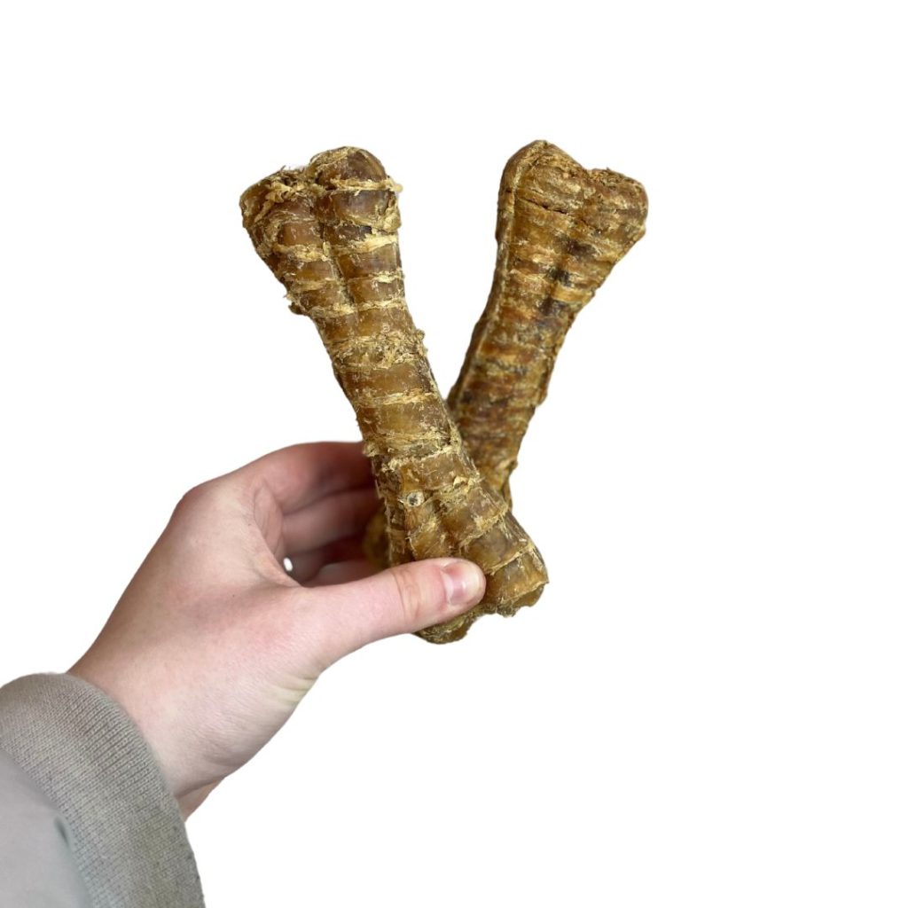 Buffalo Trachea Bone 25pack (Long term OOS) - Nova Dog Chews