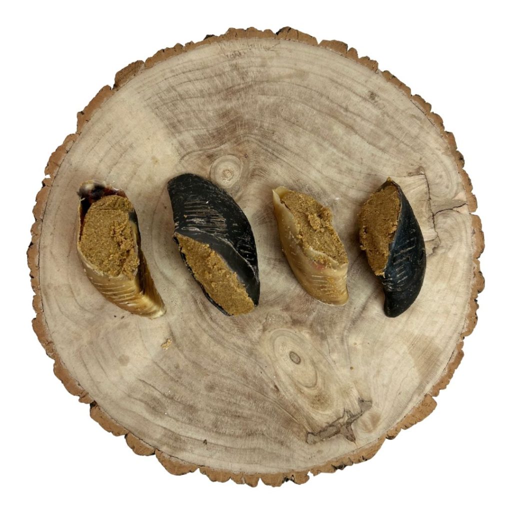 Filled Hooves Peanut Butter – Nova Dog Chews